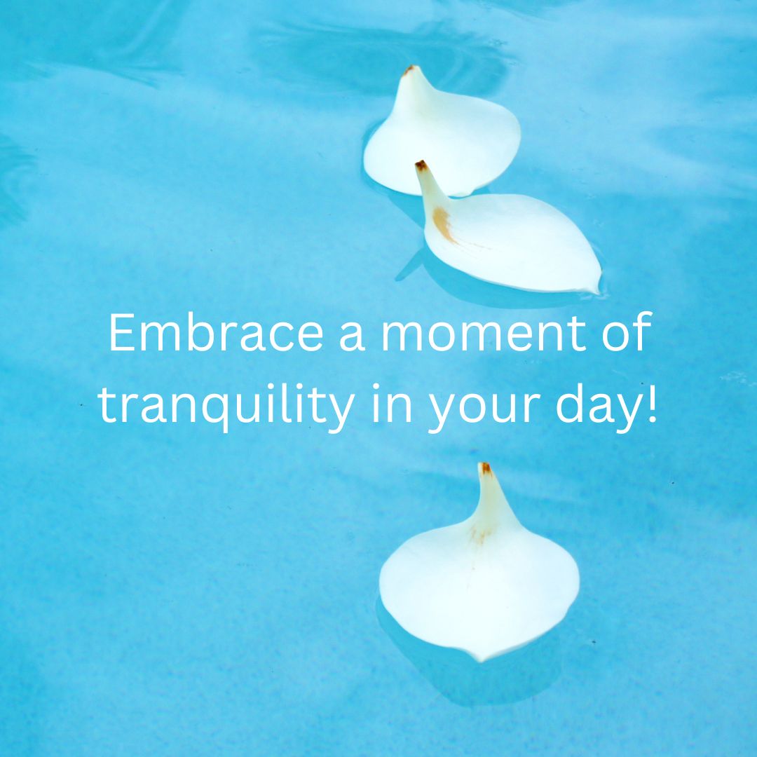 Tranquility with bell - My Fyrst